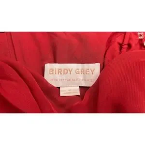 Birdy Grey | Dresses | Birdy Grey Ruby Red Chiffon Strapless Cowl Neck ...
